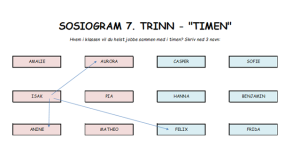 Skjema til bruk for å kartlegge relasjoner (Sosiogrammene er fiktive):